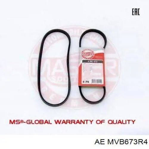 MVB673R4 AE correa trapezoidal