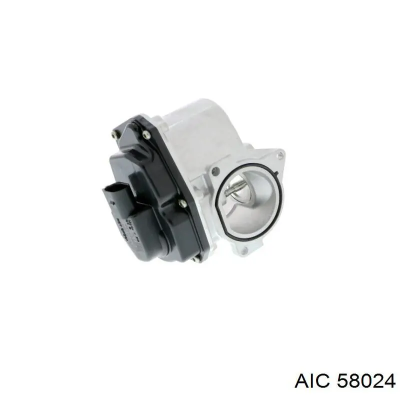 58024 AIC egr