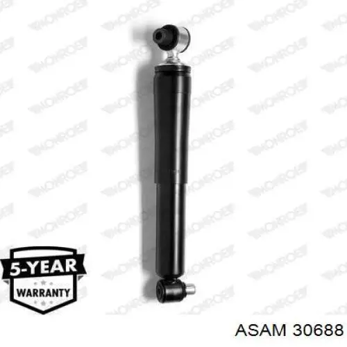 30688 Asam correa distribucion