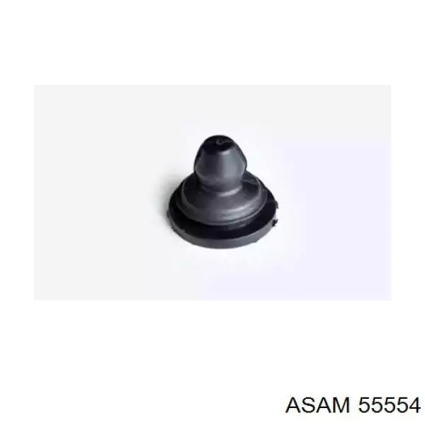 55554 ASAM soporte filtro de aire