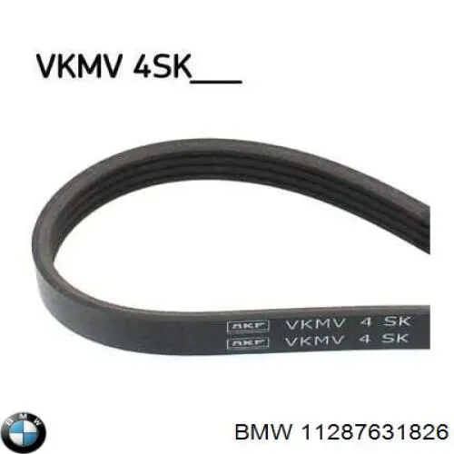 11287631826 BMW Correa trapezoidal