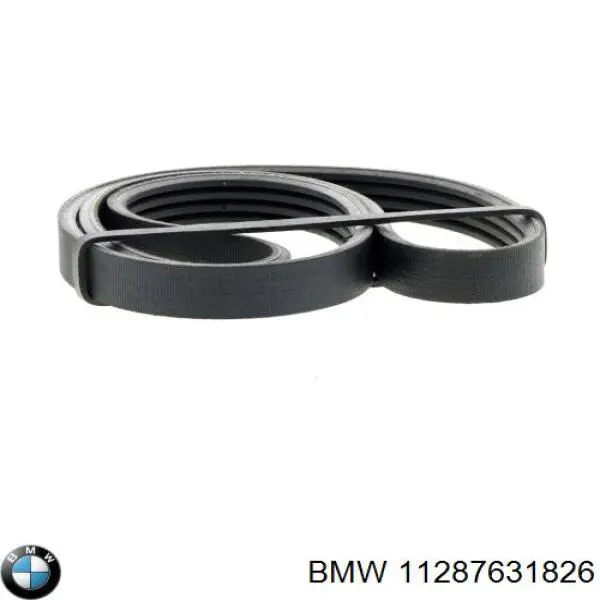 11287631826 BMW correa trapezoidal