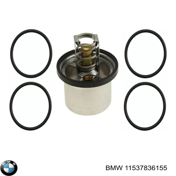 11537836155 BMW Termostato