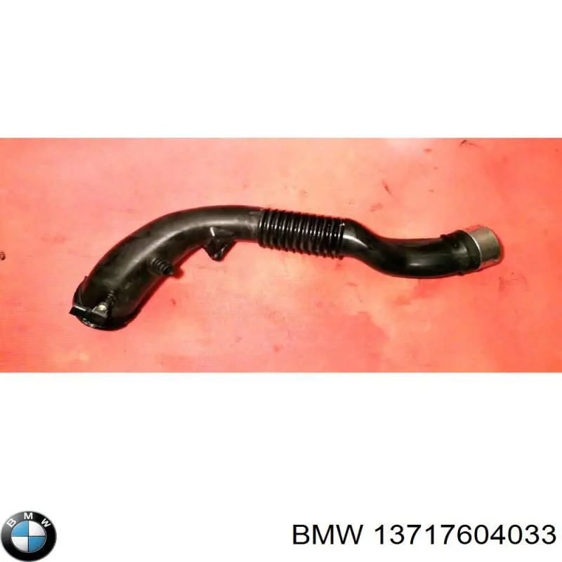 13717604033 BMW tubo flexible de aire de sobrealimentación izquierdo