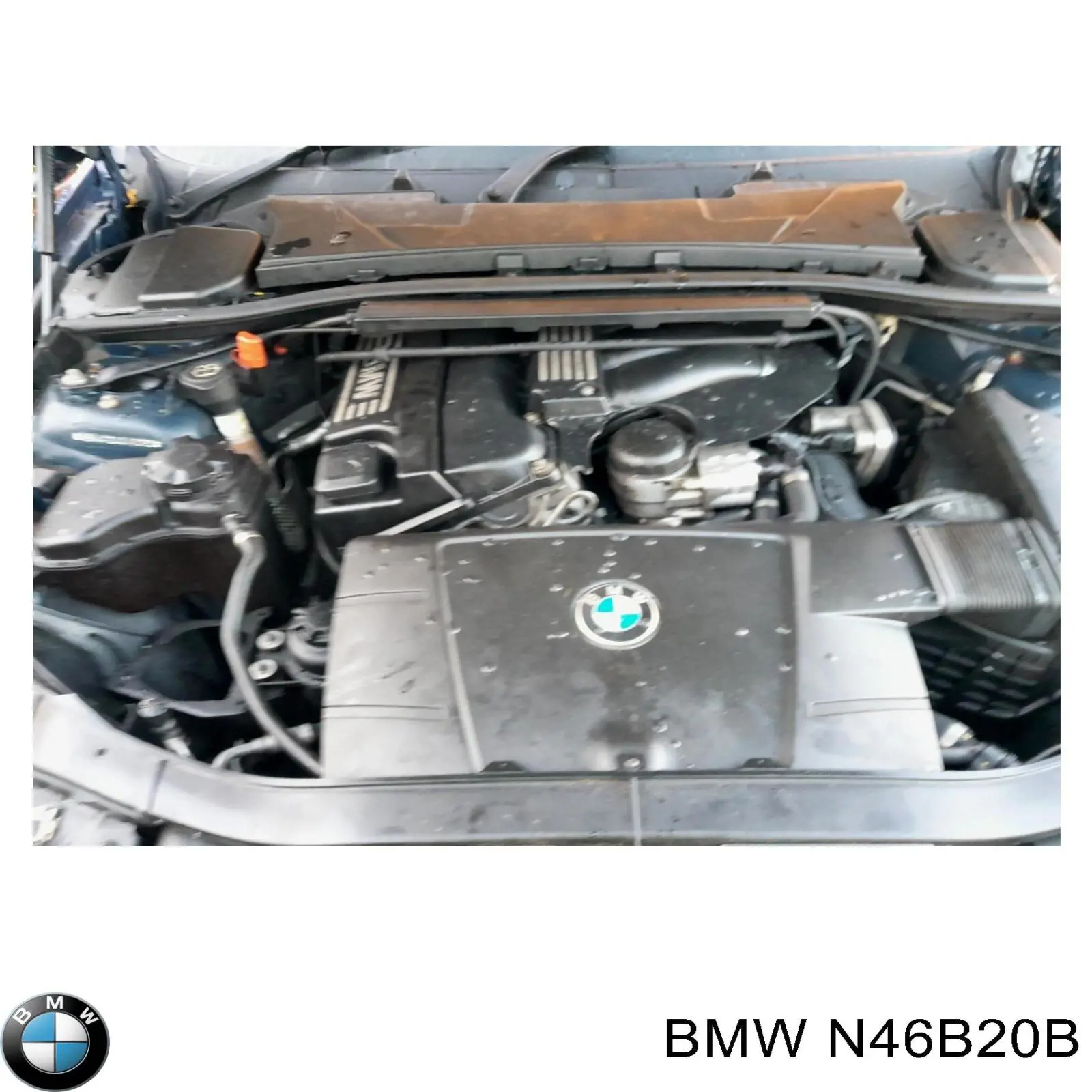 N46B20B BMW Motor completo