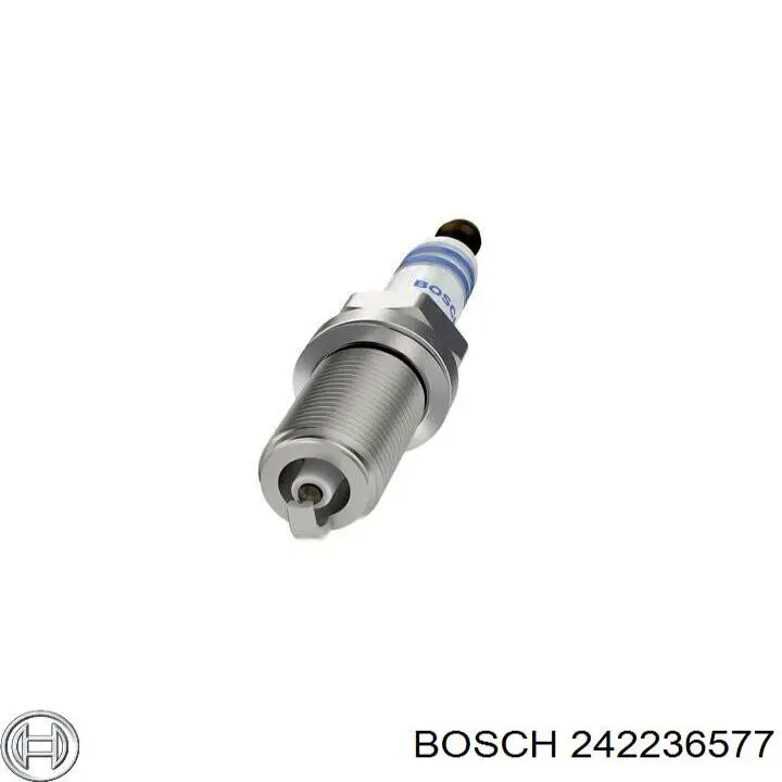 242236577 BOSCH Bujía