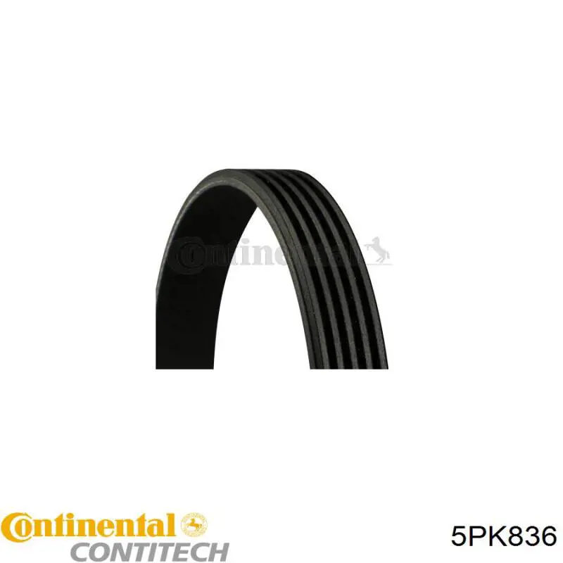 5PK836 Contitech correa trapezoidal