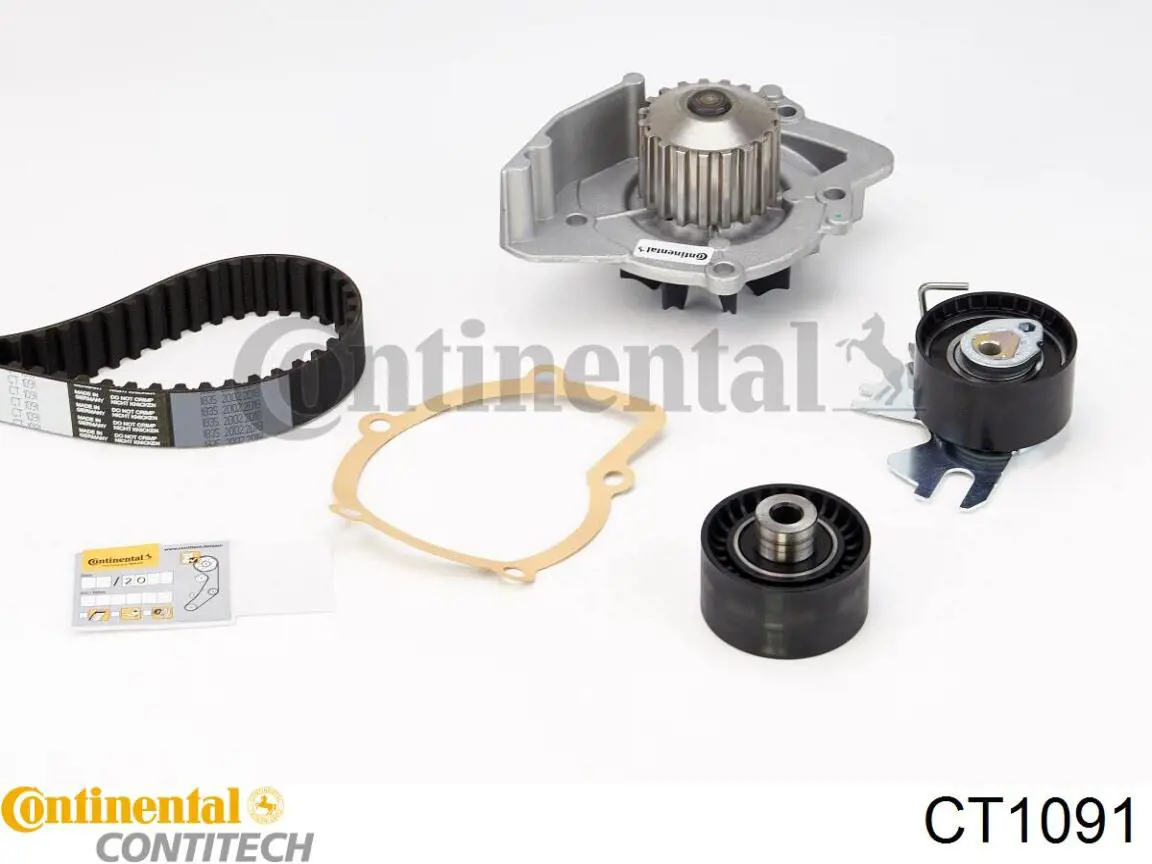 CT1091 Contitech correa distribucion