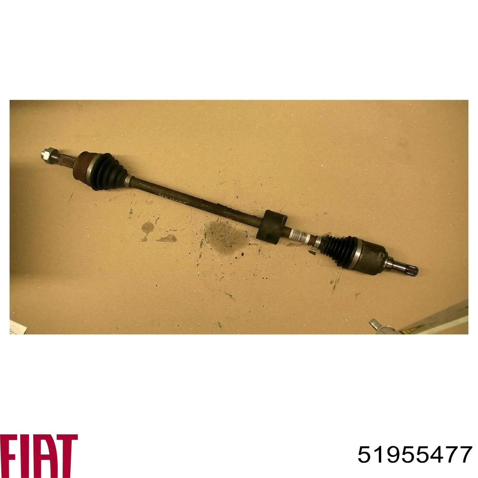 51955477 Fiat/Alfa/Lancia mejor precio para Avtopro