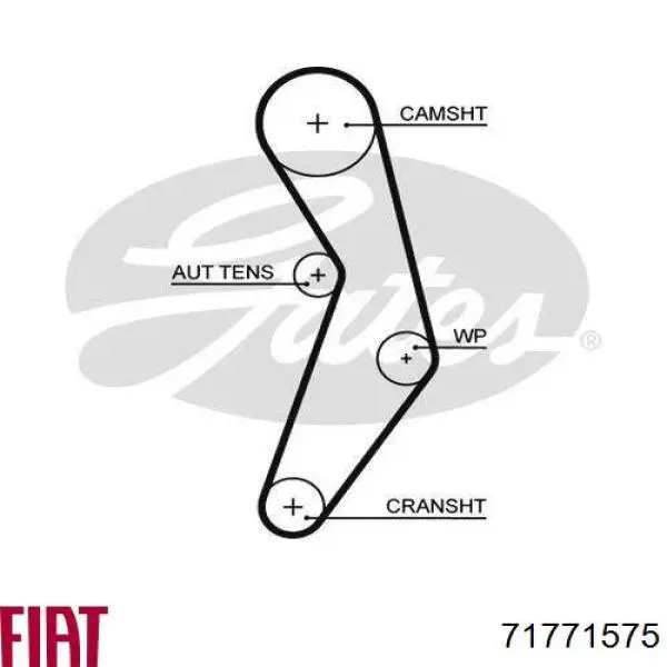 71771575 FIAT/ALFA/LANCIA Kit de distribución