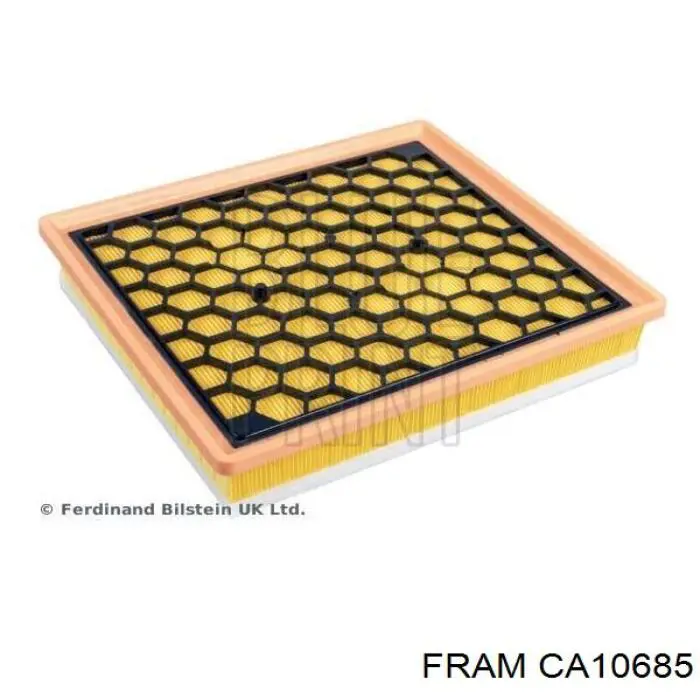 CA10685 FRAM Filtro de aire