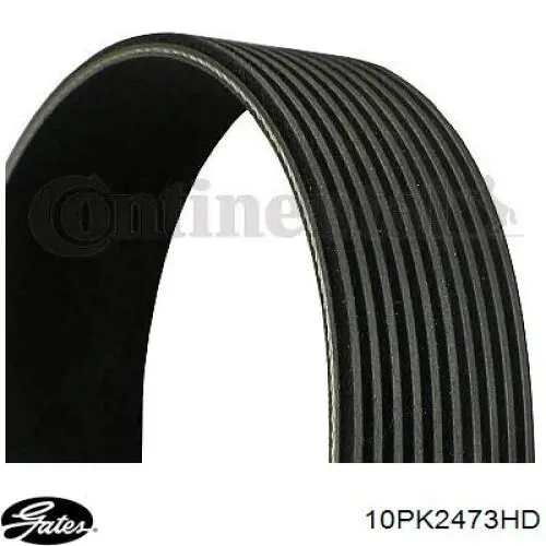 1920231 Scania correa trapezoidal