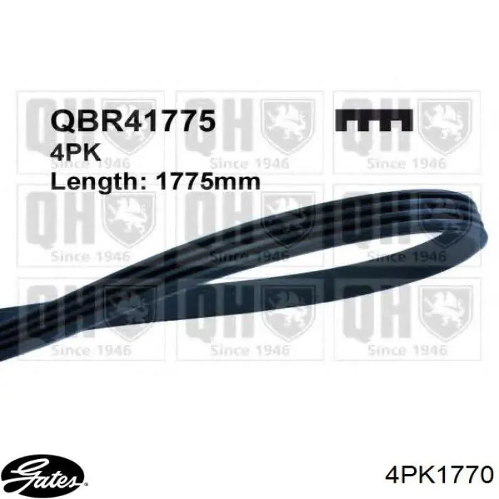 4PK1770 Gates correa trapezoidal