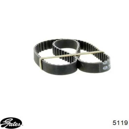 5119 GATES Correa distribución