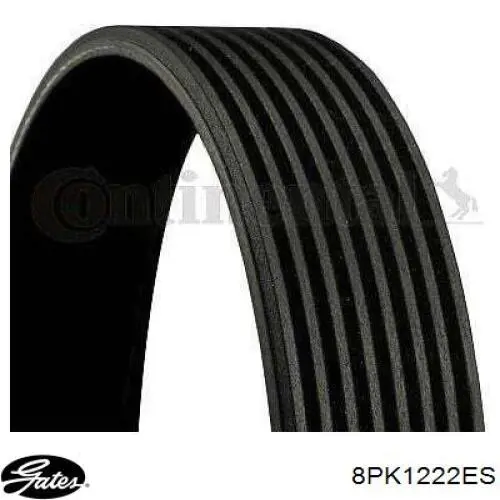 8PK1222ES Gates correa trapezoidal