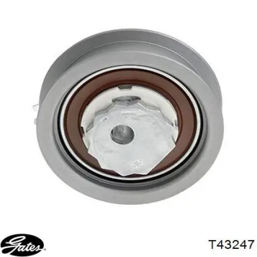 531 0882 10 LUK rodillo, cadena de distribución