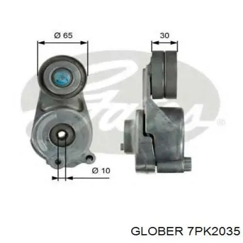 7PK2035 Glober correa trapezoidal