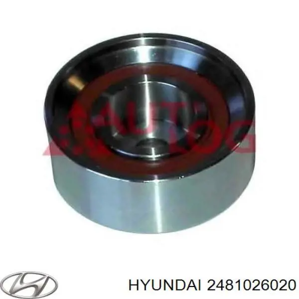 2481026020 Hyundai/Kia rodillo intermedio de correa dentada