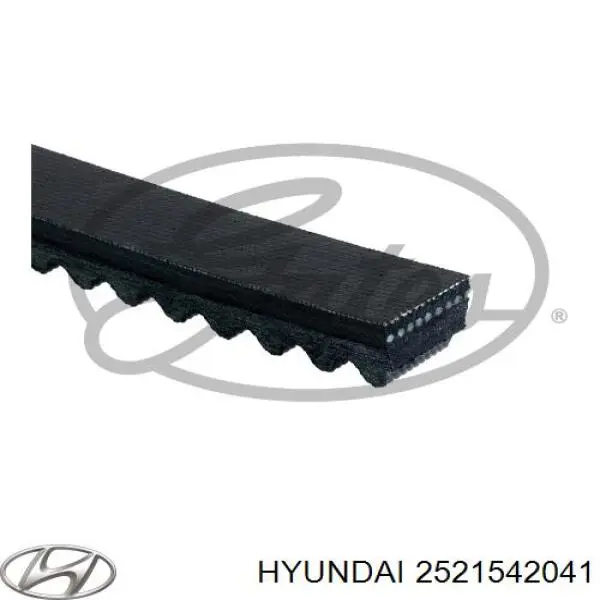 2521542041 HYUNDAI/KIA Correa trapezoidal