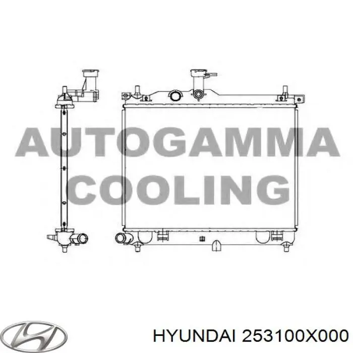 253100X000 HYUNDAI/KIA Radiador