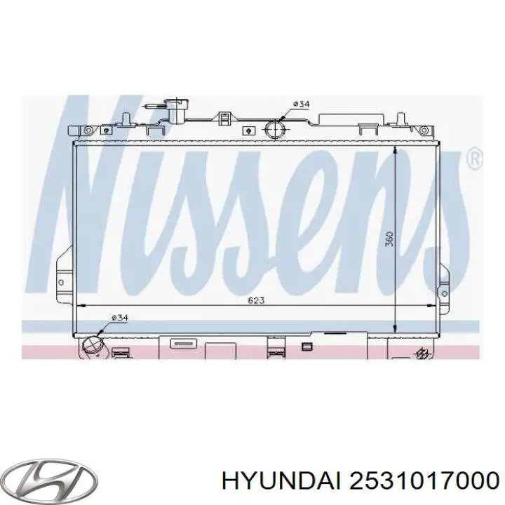 2531017000 Hyundai/Kia radiador, refrigeración del motor