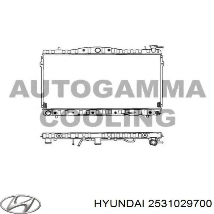 2531029700 HYUNDAI/KIA Radiador