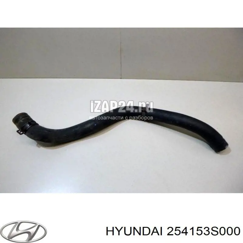 254153S000 Hyundai/Kia manguera refrigerante para radiador inferiora