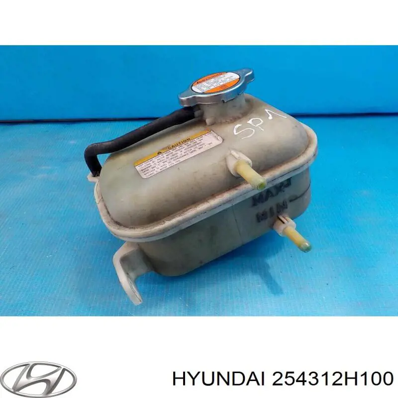 254312H100 Hyundai/Kia botella de refrigeración