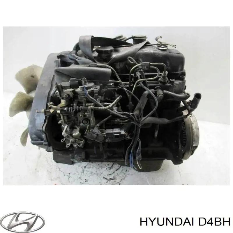 D4BH HYUNDAI/KIA Motor completo
