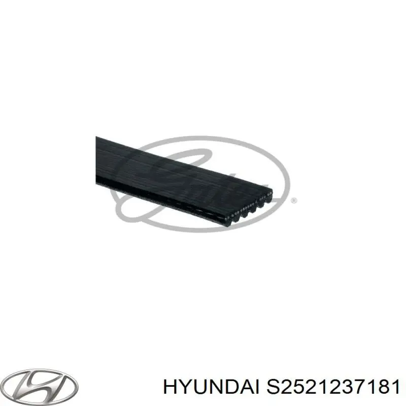 S2521237181 HYUNDAI/KIA Correa trapezoidal
