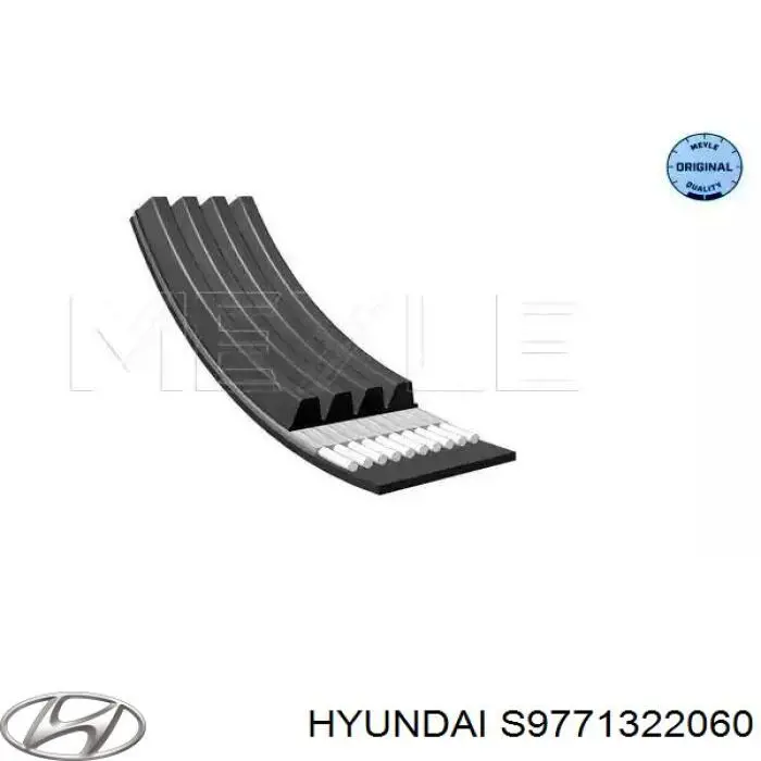 S9771322060 HYUNDAI/KIA Correa trapezoidal