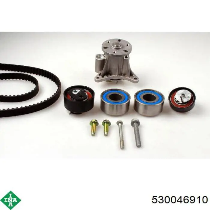 530046910 INA kit de distribución