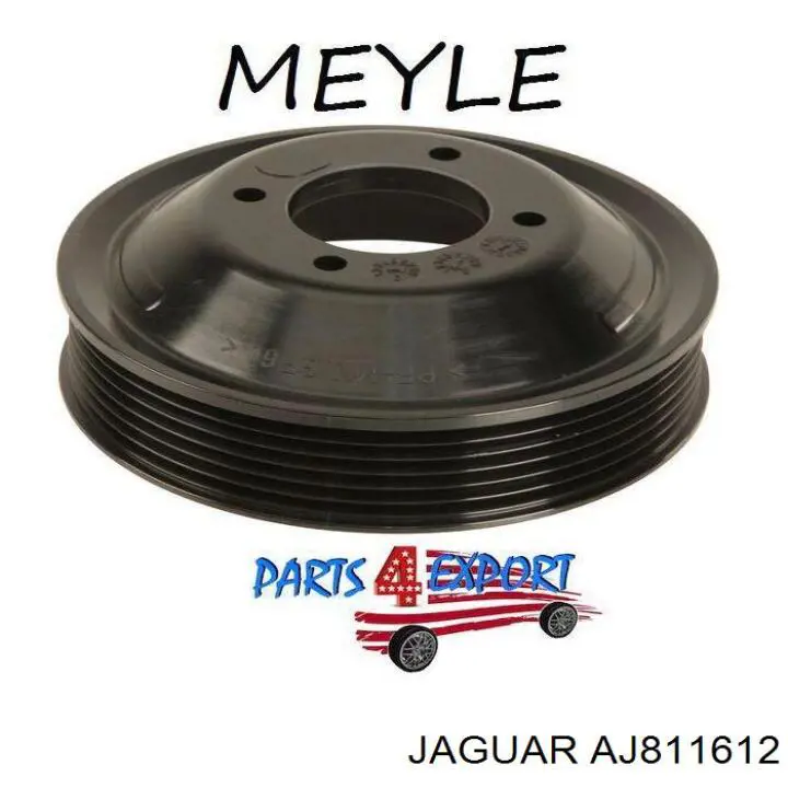 AJ811612 Jaguar junta, bomba de agua