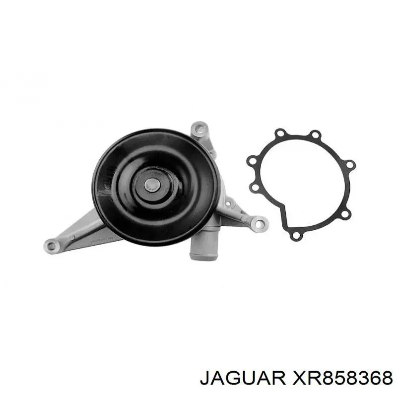 XR858368 Jaguar bomba de agua