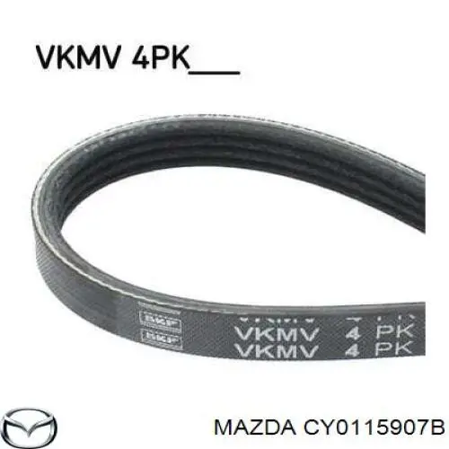 CY0115907B MAZDA Correa trapezoidal