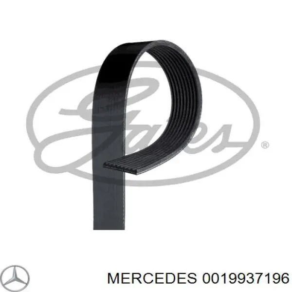 0019937196 Mercedes correa trapezoidal