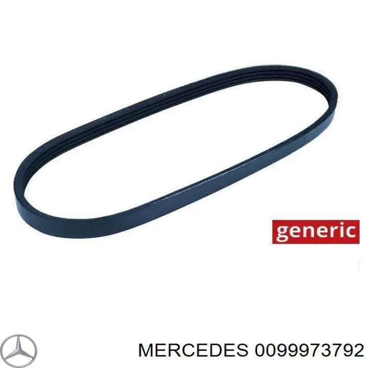 0099973792 Mercedes correa trapezoidal