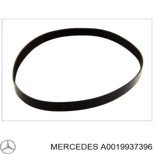 A0019937396 MERCEDES correa trapezoidal