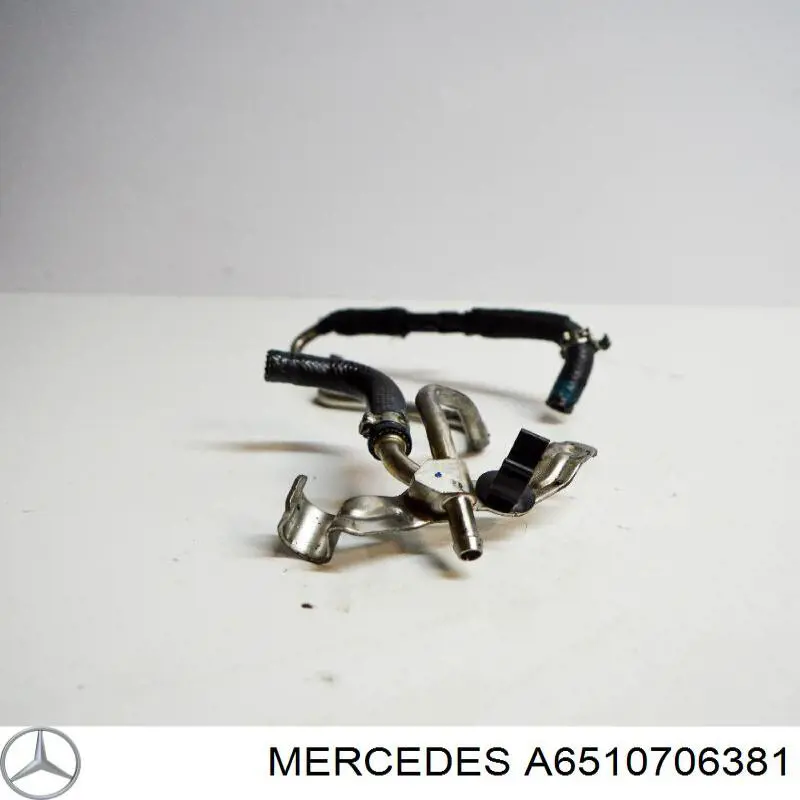 A6510706381 MERCEDES Tubo De Combustible Atras De Las Boquillas