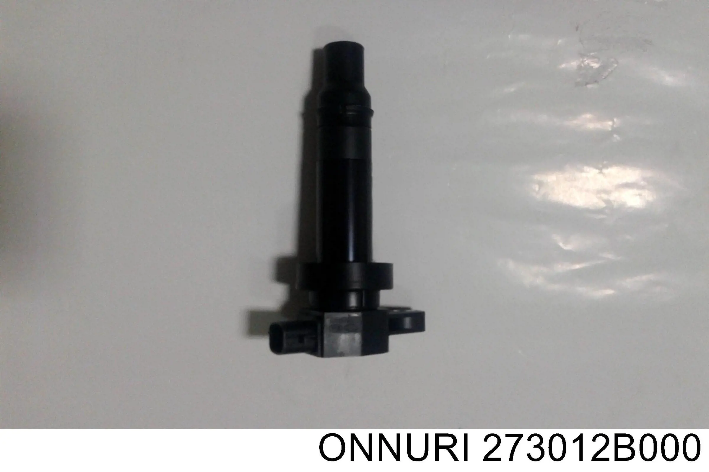 273012B000 Onnuri bobina