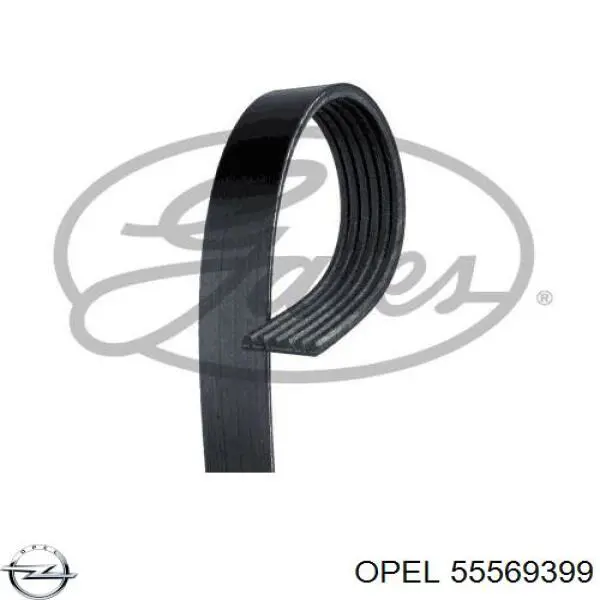 55569399 Opel tensor de correa, correa poli v