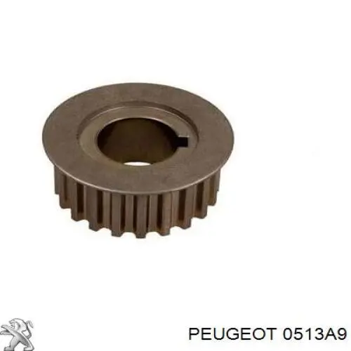 0513A9 PEUGEOT/CITROEN Rueda dentada, cigüeñal