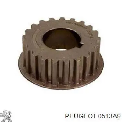0513A9 PEUGEOT/CITROEN Rueda dentada, cigüeñal