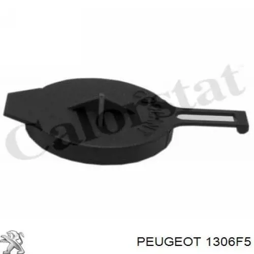 00001306F5 Peugeot/Citroen mejor precio para Avtopro