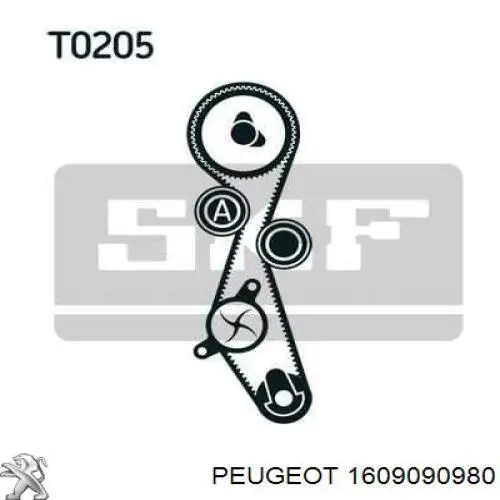 1609090980 Peugeot/Citroen rodillo, cadena de distribución