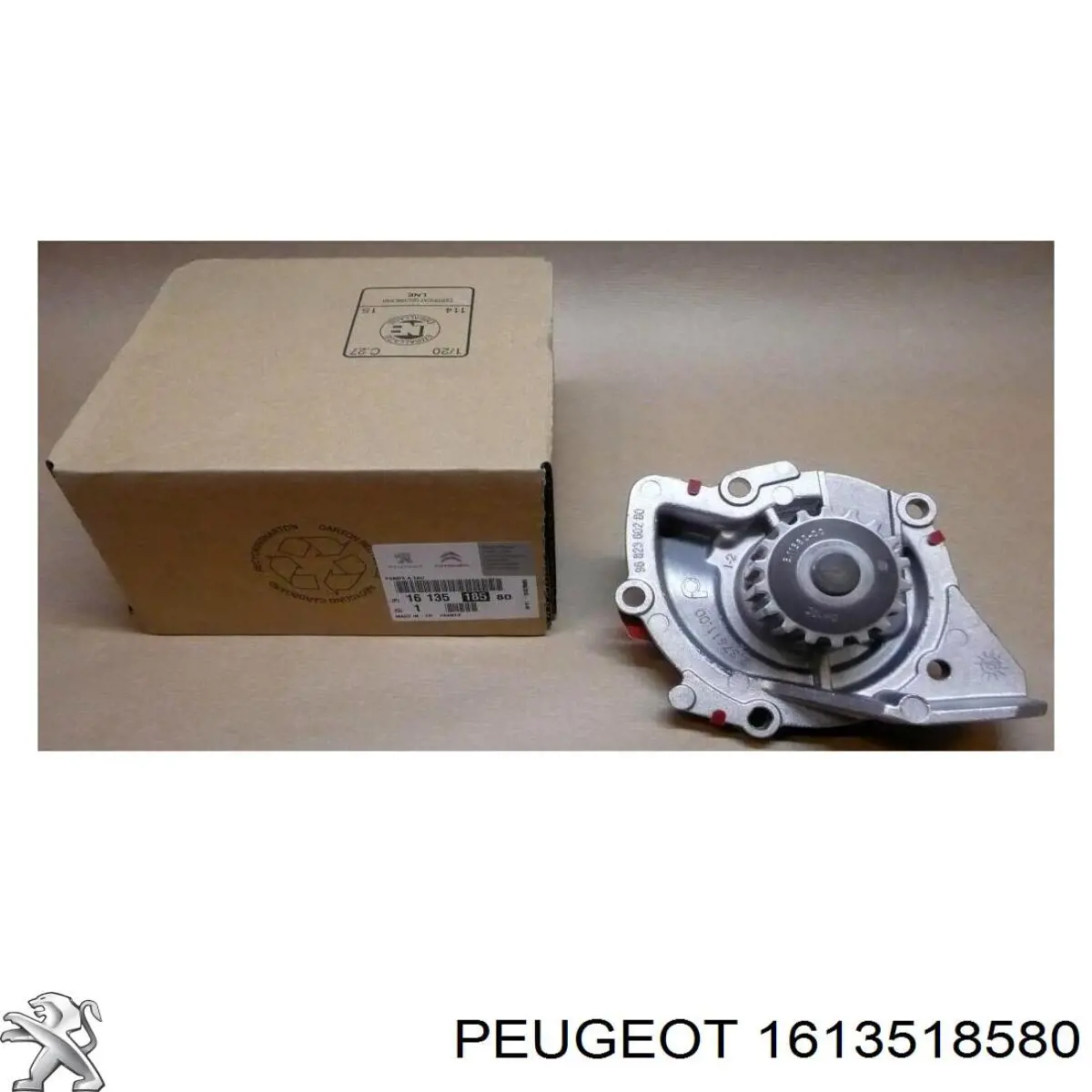 1613518580 PEUGEOT/CITROEN Bomba de agua