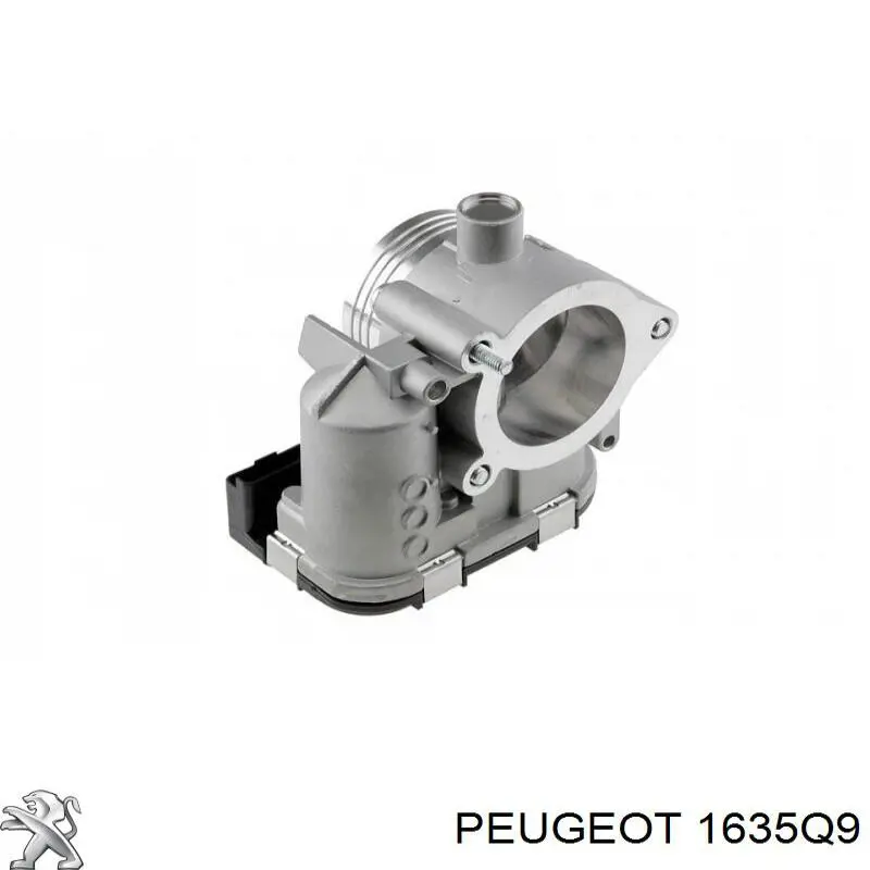 1635Q9 Peugeot/Citroen cuerpo de mariposa completo