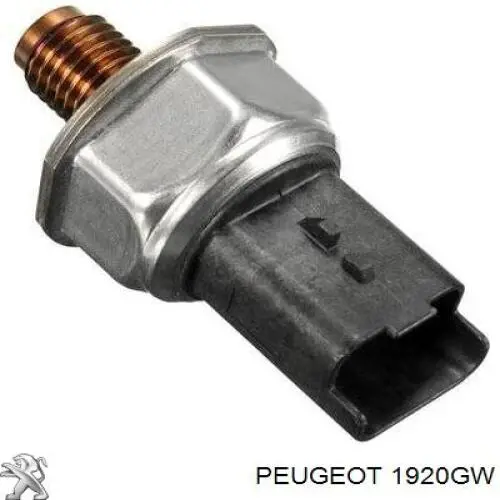 1920GW Peugeot/Citroen sensor de presión de combustible