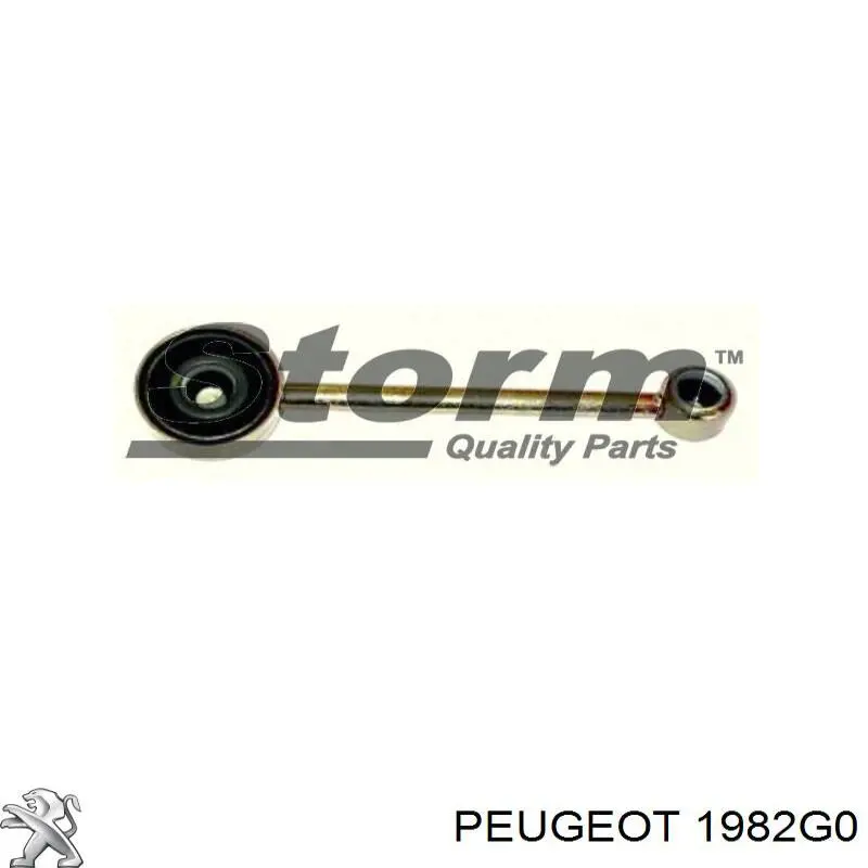 1982G0 Peugeot/Citroen kit de reparación, inyector