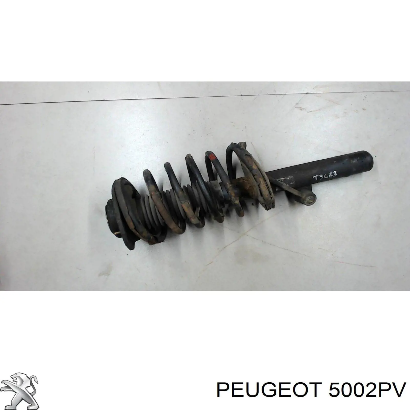5002 PV Peugeot/Citroen muelle delantero